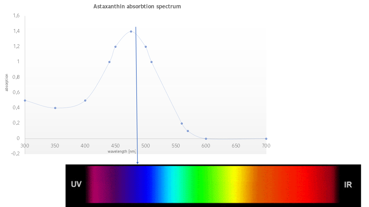 Panel discussion on beauty from within - BDI-BioLife Science