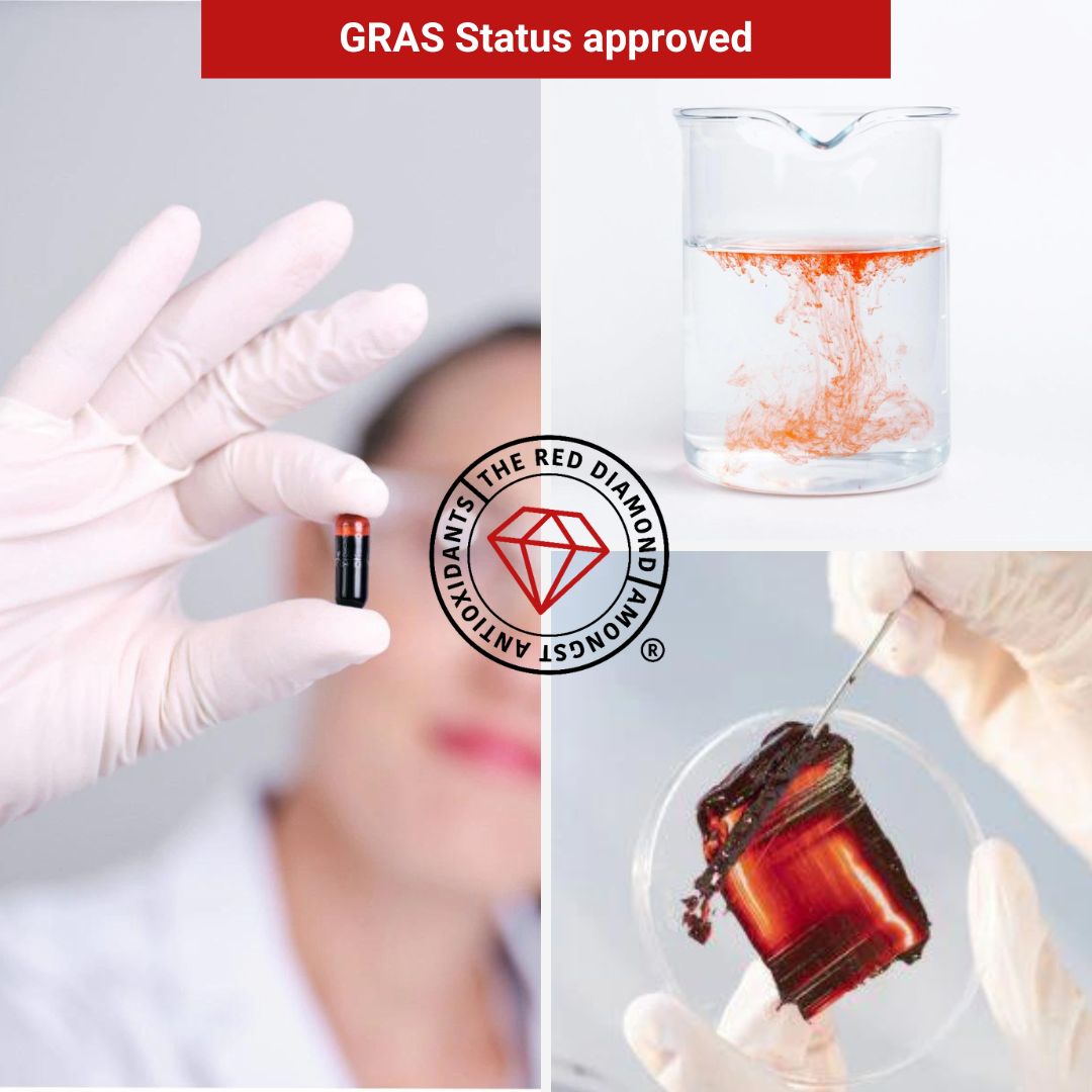 A big step with small algae - BDI-BioLife Science